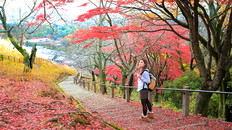 50 THINGS TO DO IN JAPAN — Travel with Lindela