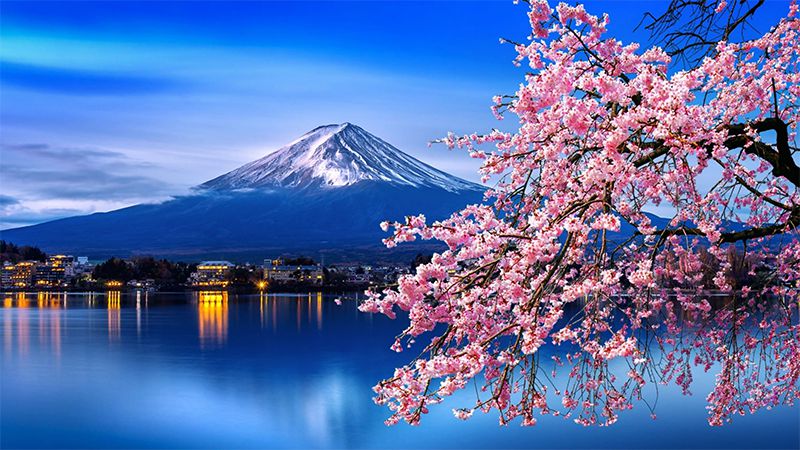 Japan Cherry Blossoms 2023 Forecast: Where to See Sakura