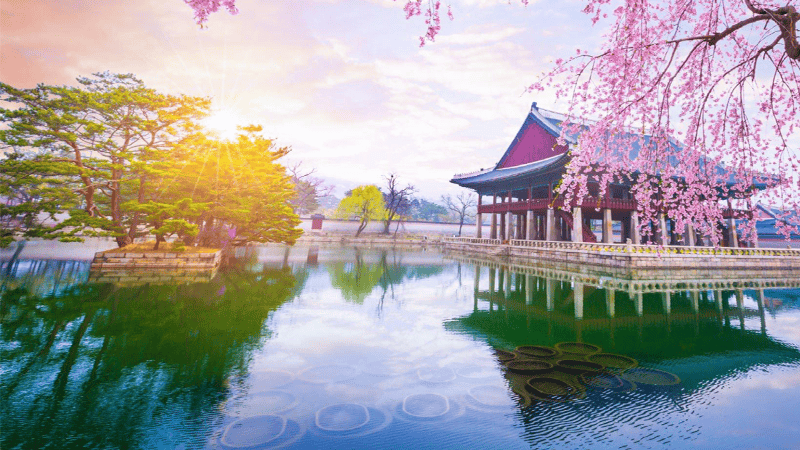 Best Places to Capture Stunning Photos in South Korea